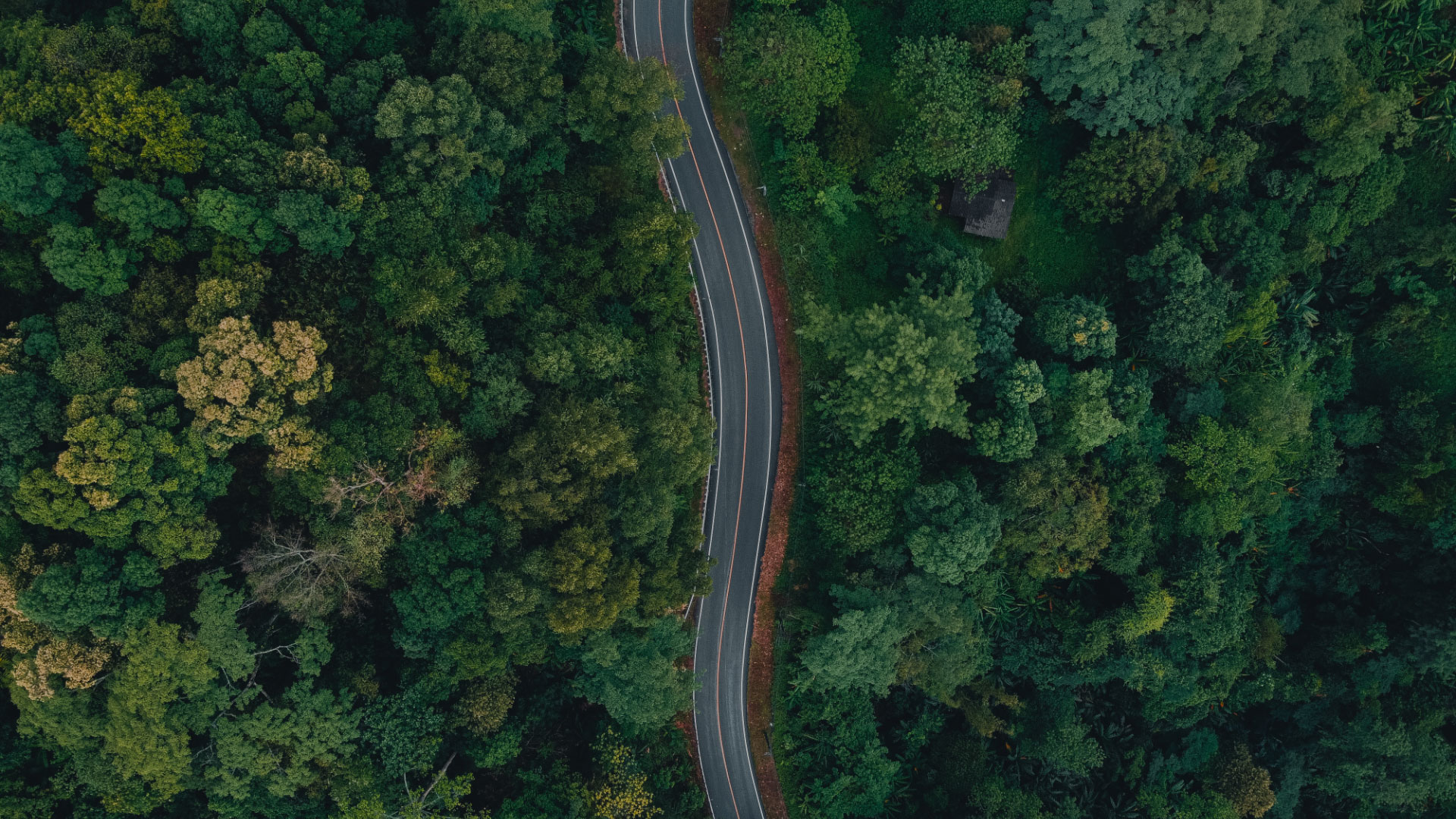 Our Organization - Fundsight